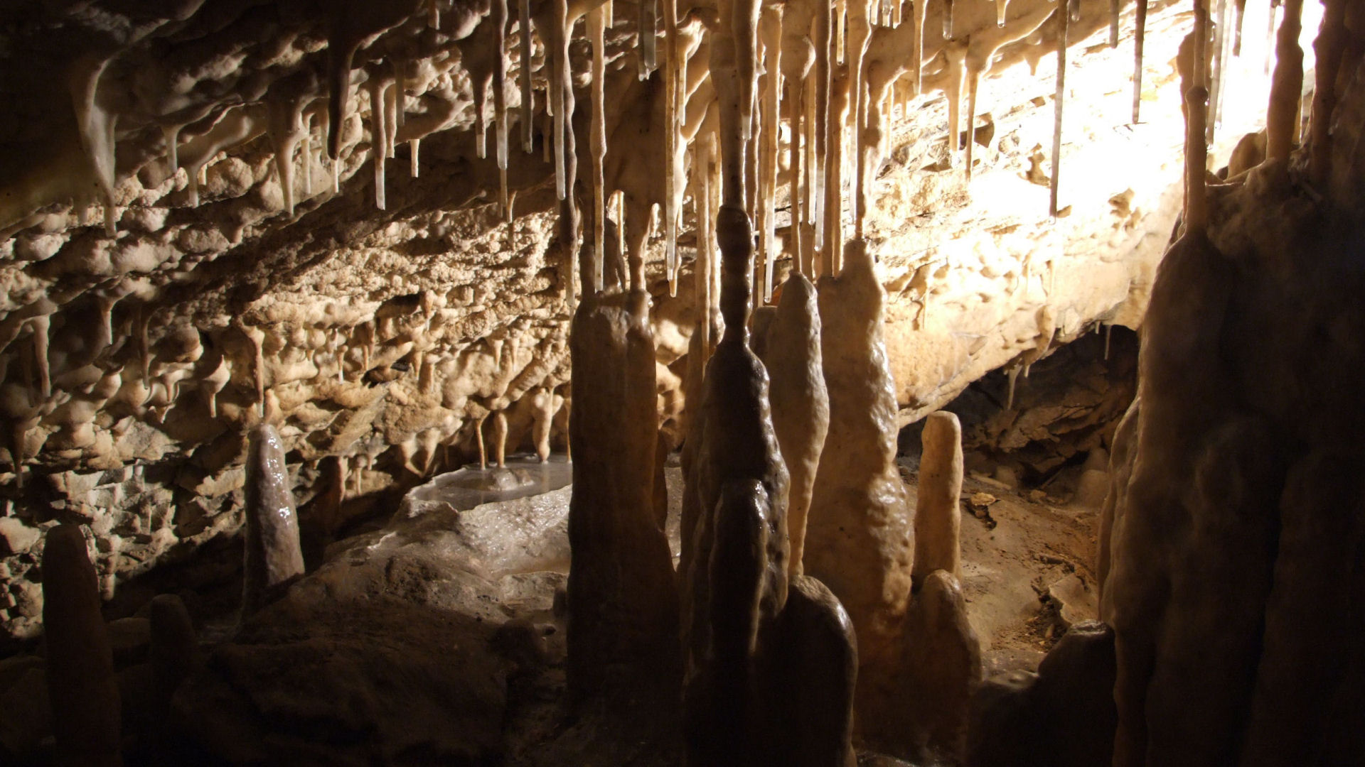 Grot Scladina - Alles wat u moet weten voor een bezoek - Ardennen.nl
