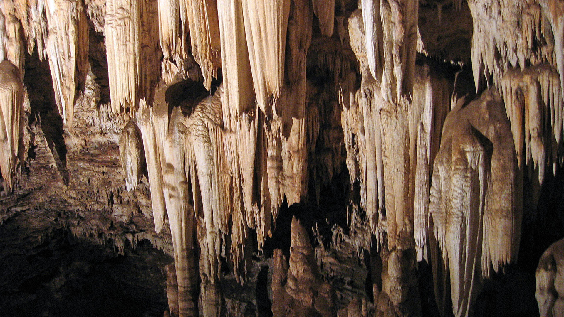 Grot van Goyet - Alles wat u moet weten voor een bezoek - Ardennen.nl