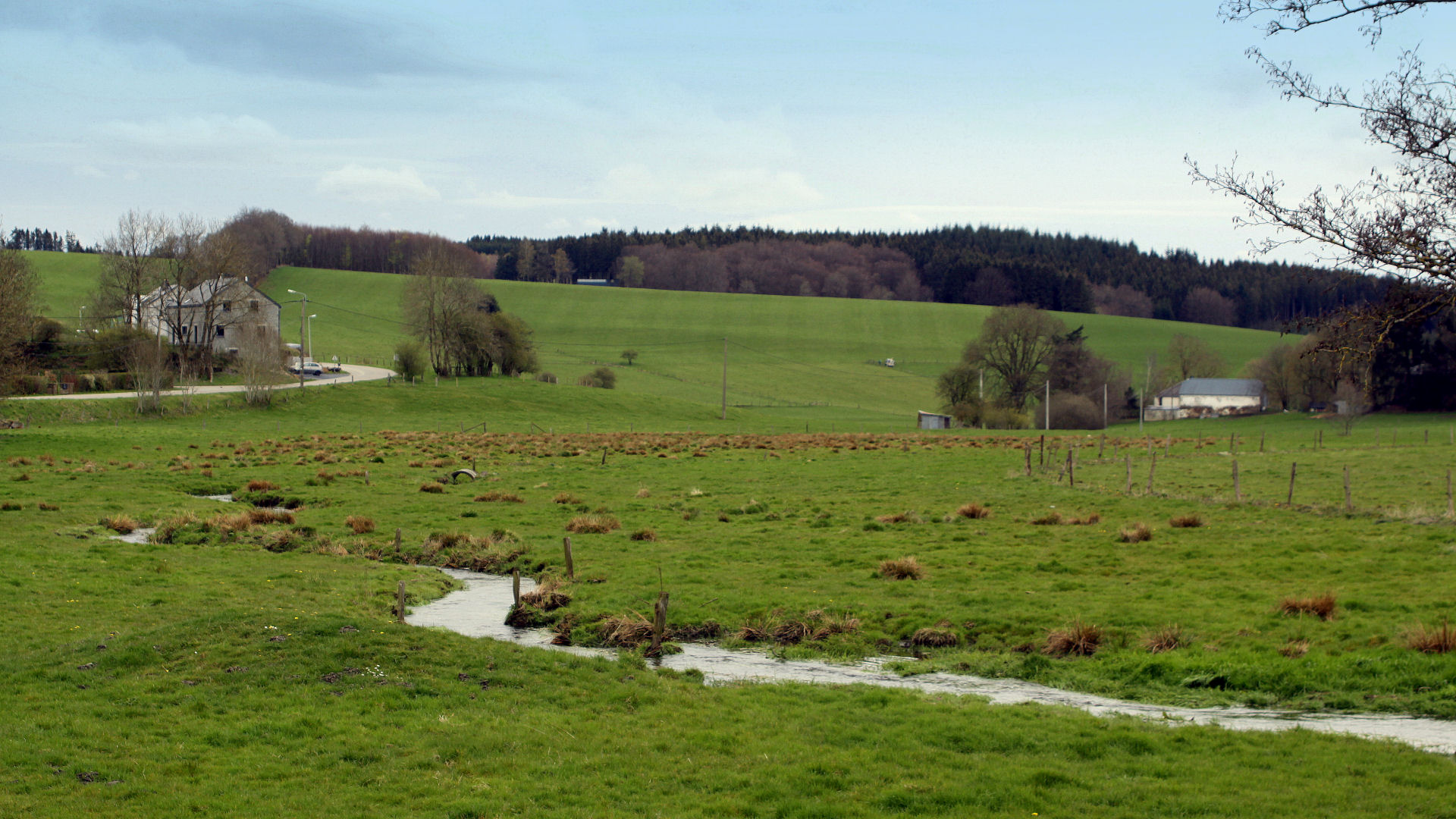 Arboretum Vaux-sur-Sûre - Alles wat u moet weten - Ardennen.nl