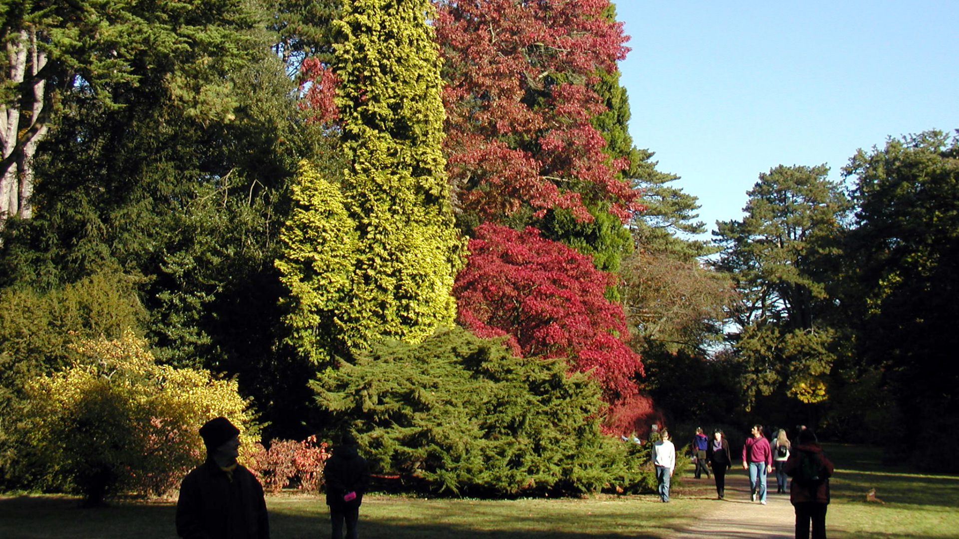 Arboretum van Gedinne - Alles wat u moet weten - Ardennen.nl