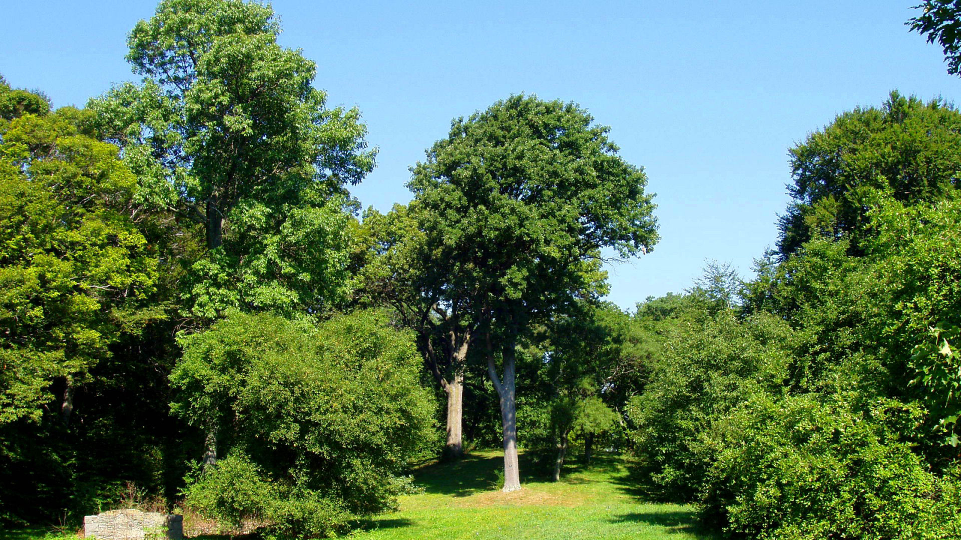 Arboretum van Profondeville- Alles wat u moet weten - Ardennen.nl