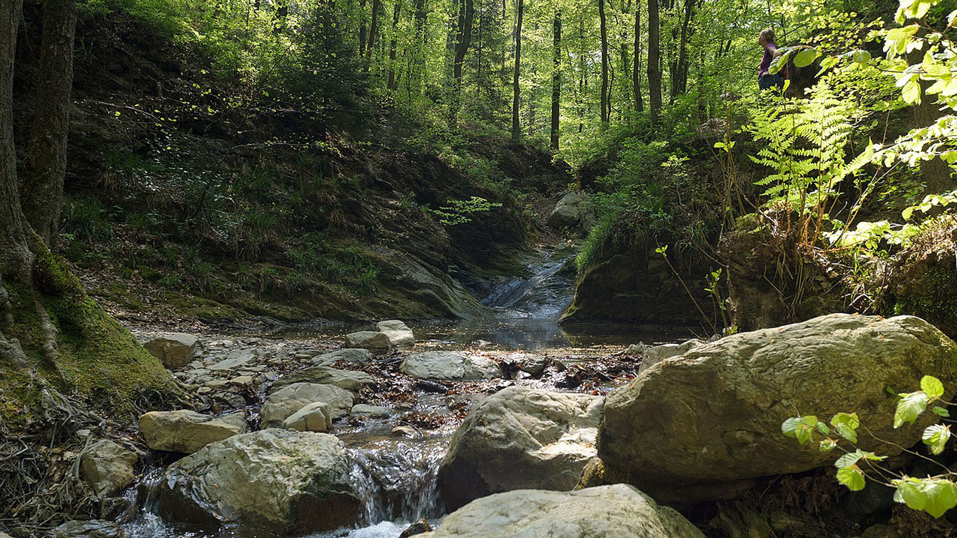 Aywaille - Ardennen.nl - vakanties & informatie