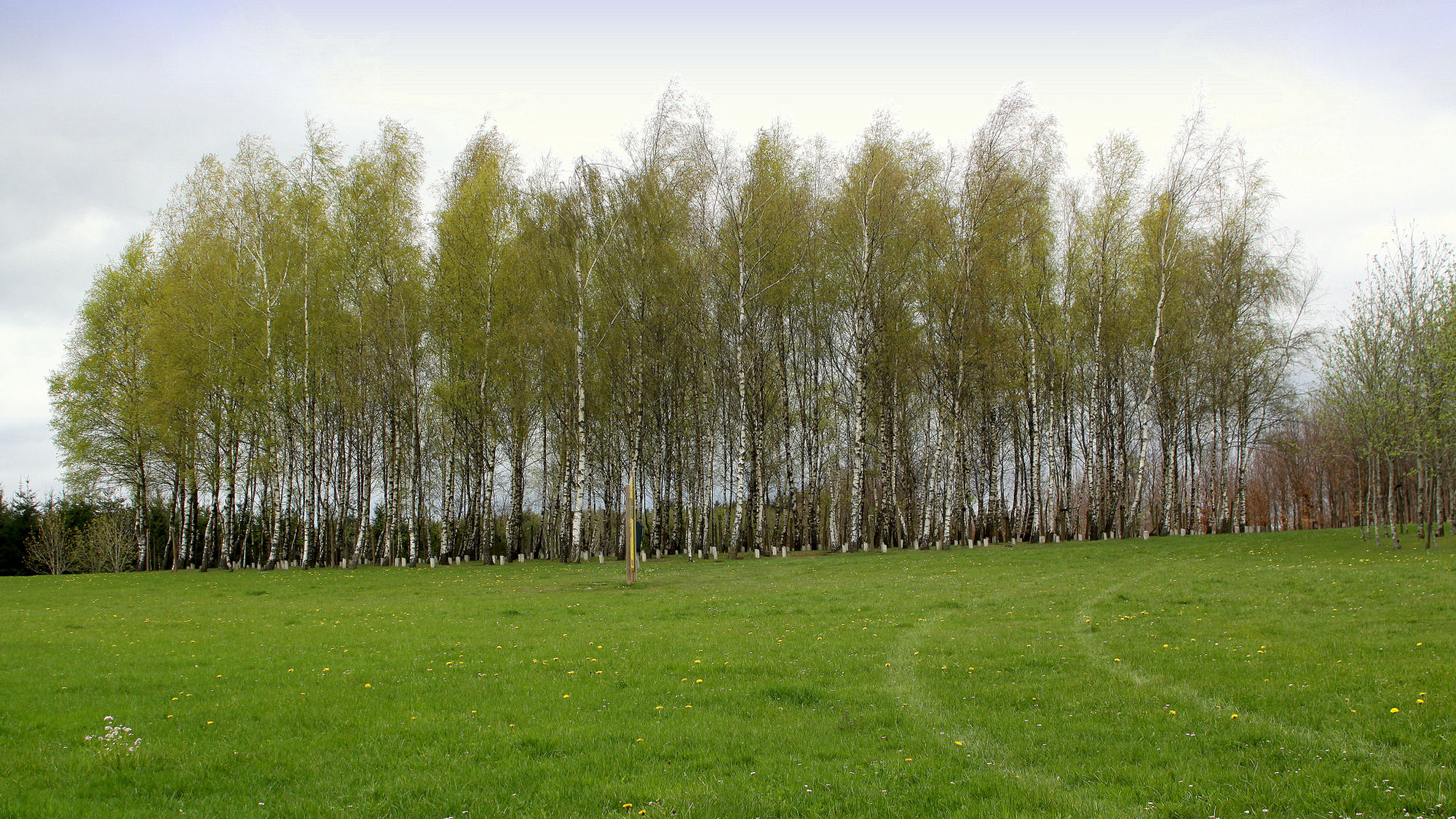 Bos van de Vrede - Alles wat u moet weten - Ardennen.nl