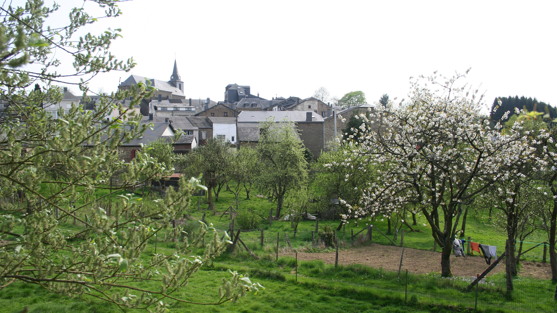 Corbion - Ardennen.nl - vakanties & informatie