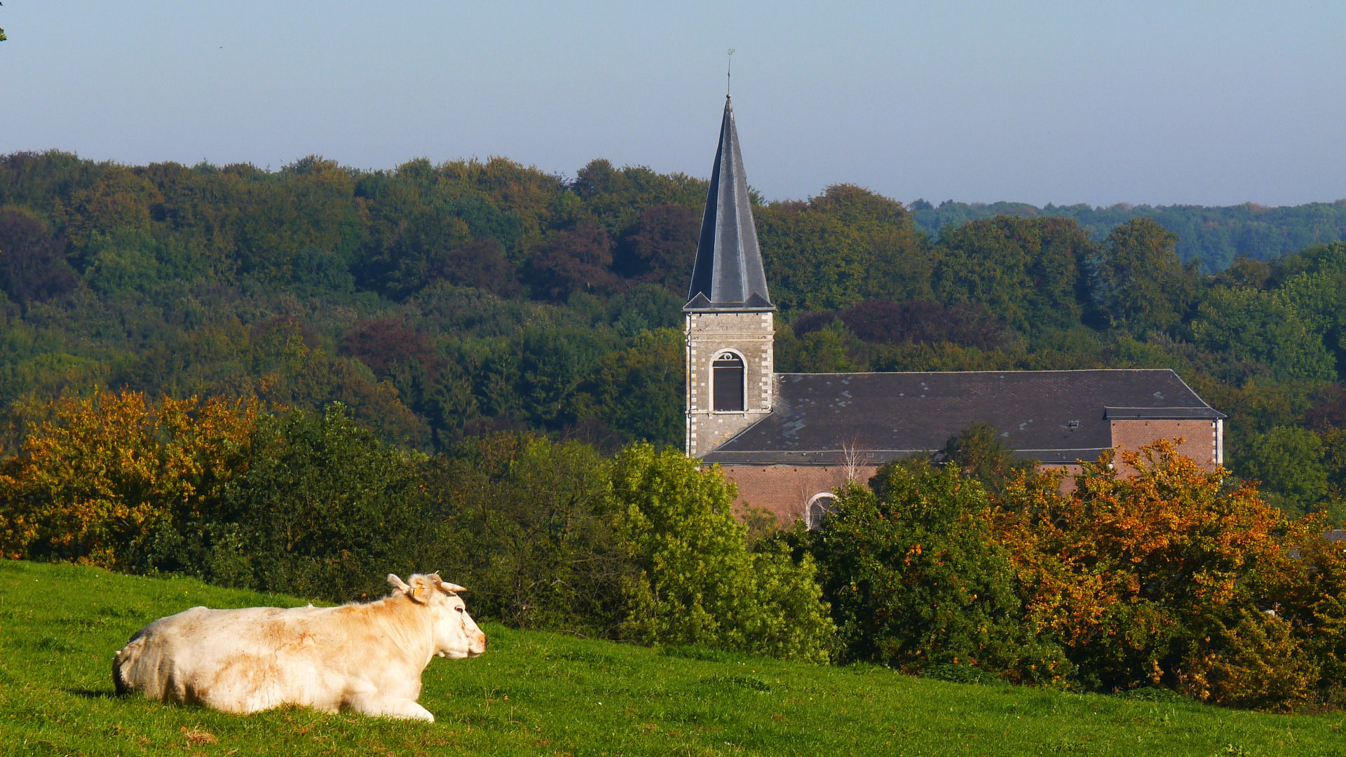 Gesves - Ardennen.nl - vakanties & informatie