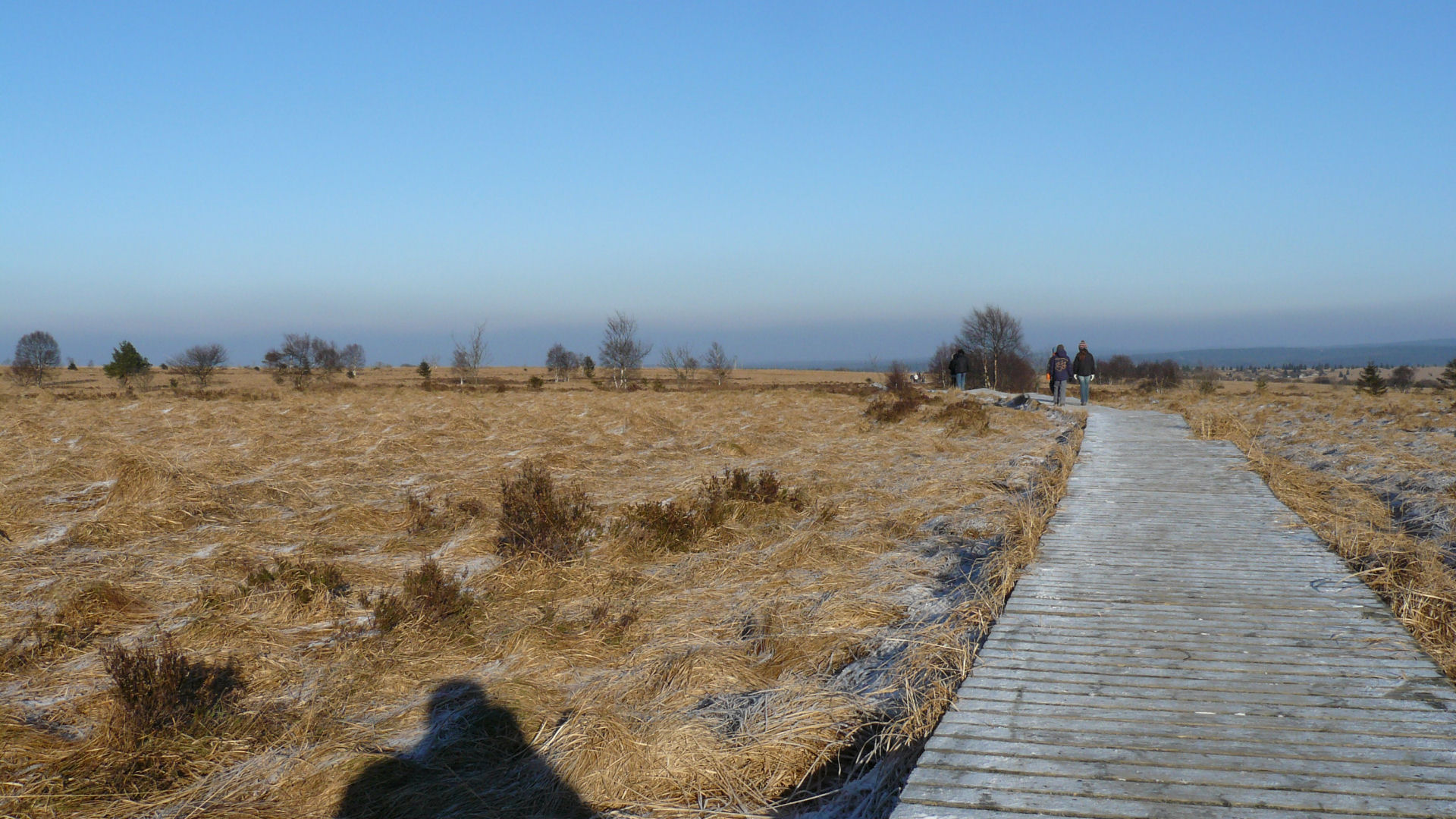 Hoge Venen - Eifel - Alles wat u moet weten - Ardennen.nl