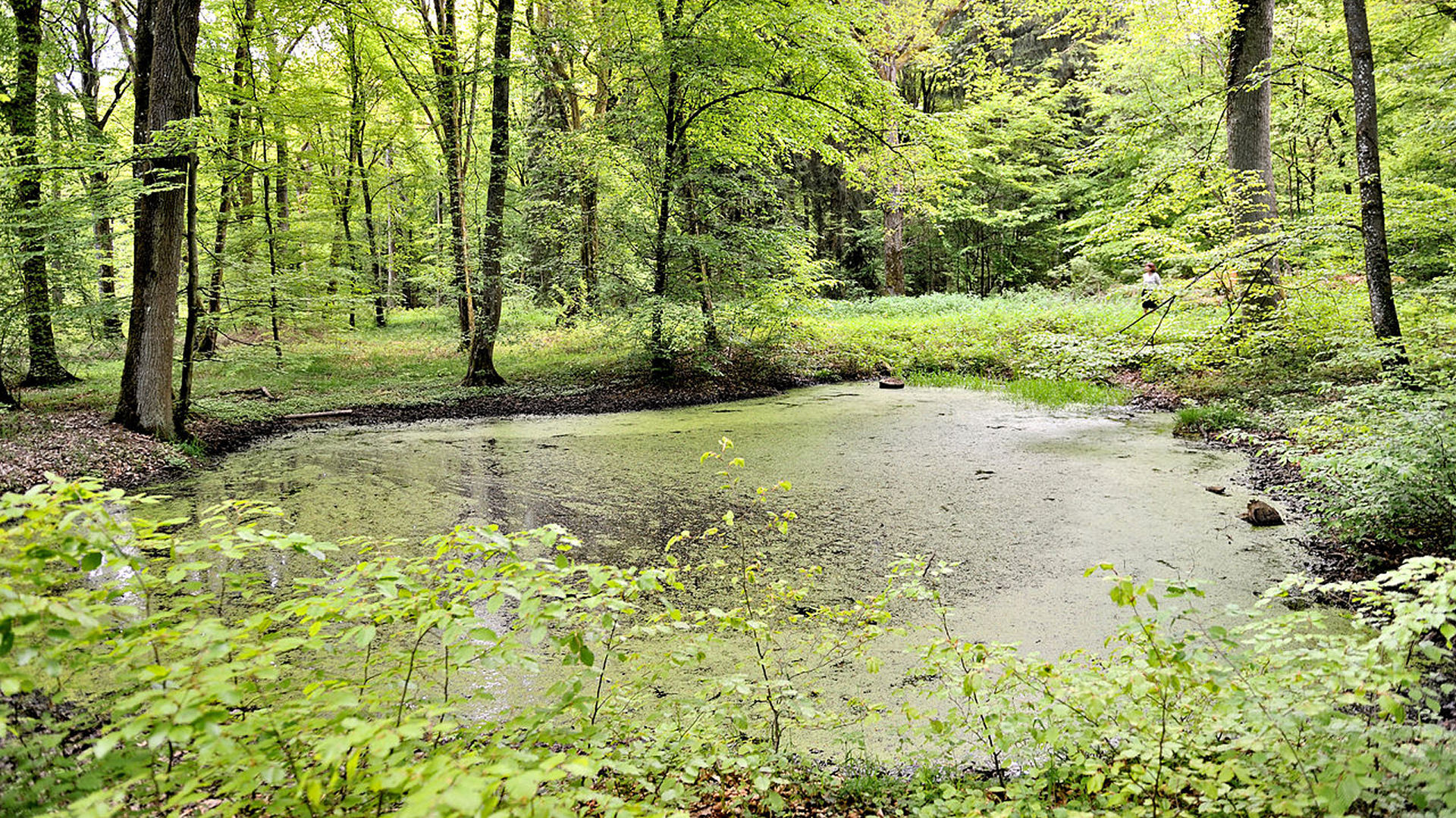 Mamer - Ardennen.nl - vakanties & informatie