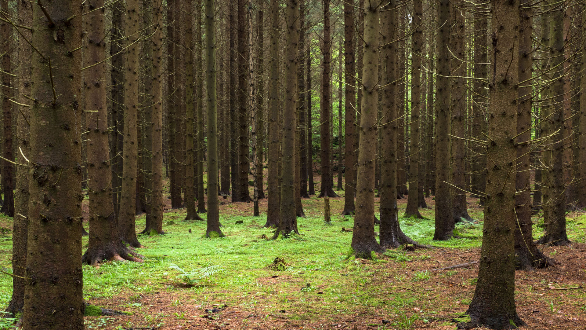 Natuurreservaat Jalna - Alles wat u moet weten - Ardennen.nl