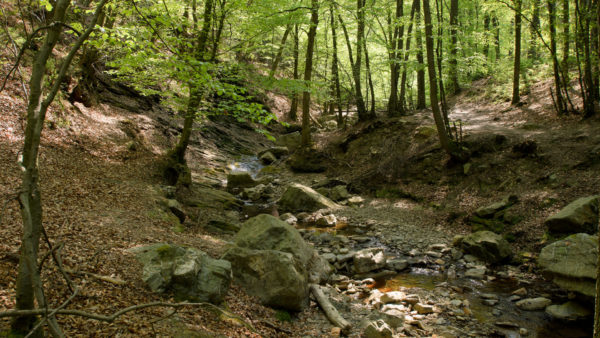 Spa → Top 10 Bezienswaardigheden + wat te doen in Spa - Ardennen.nl