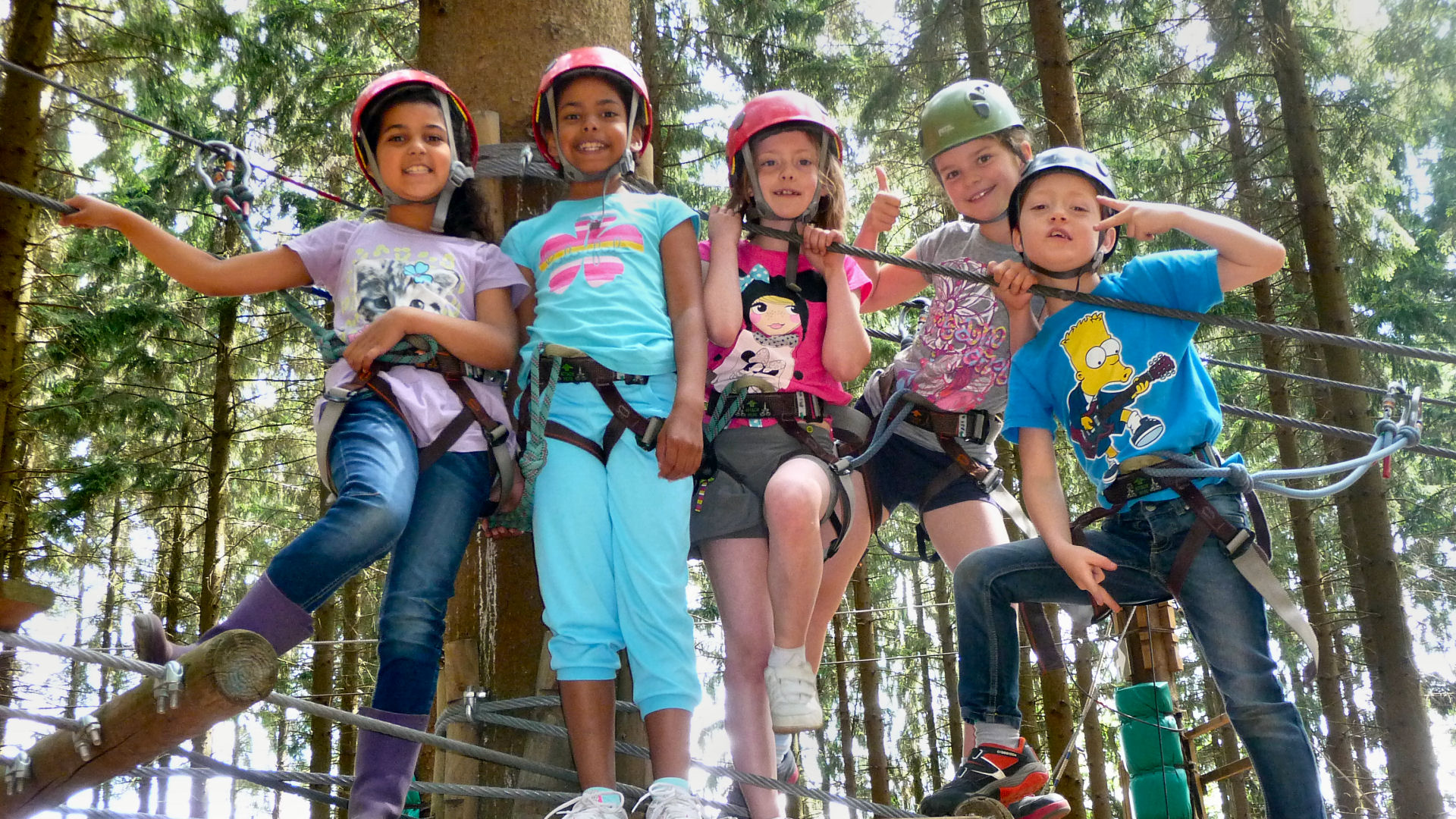 Forestia - Alles wat u moet weten voor een bezoek - Ardennen.nl