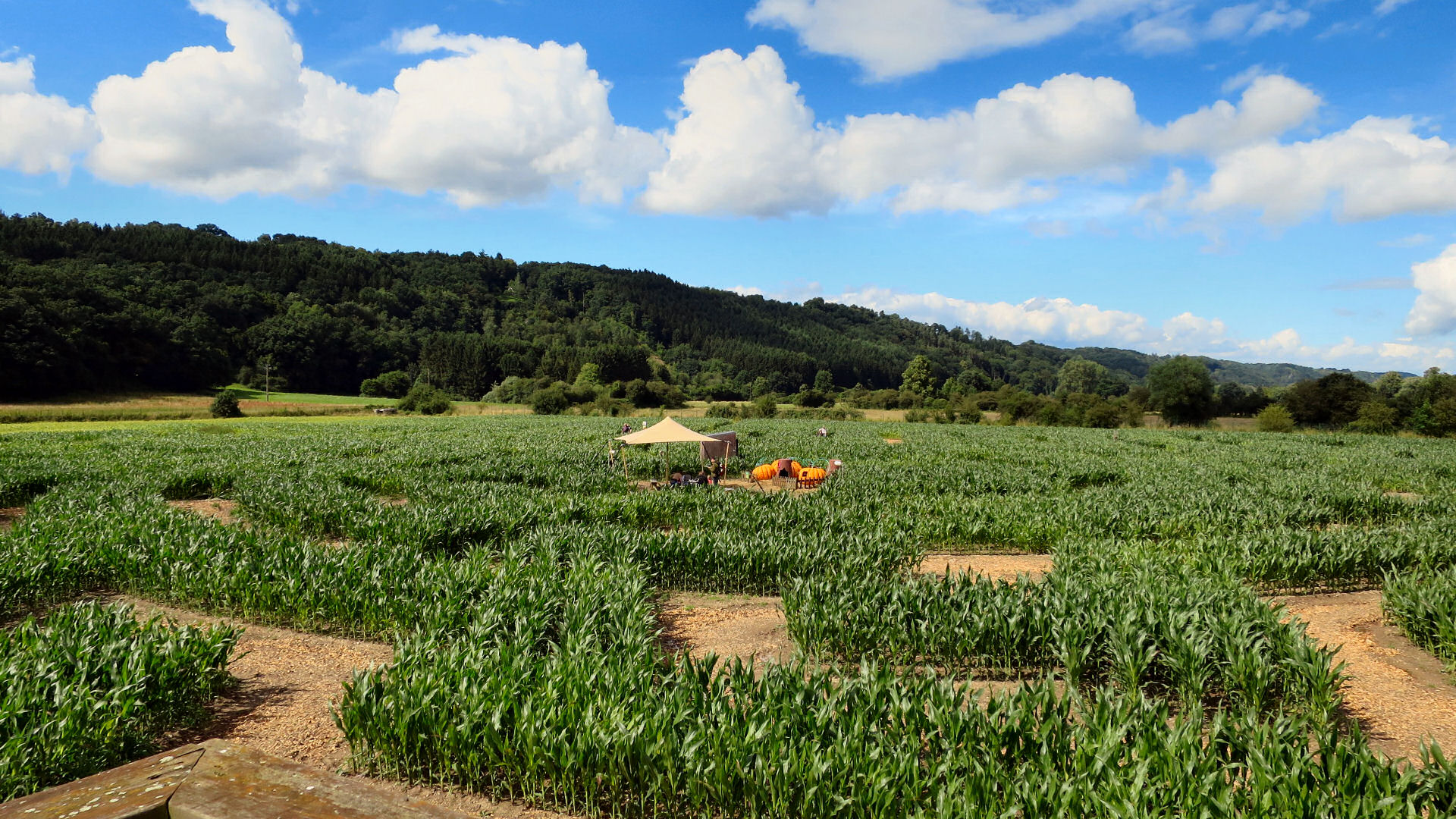 Doolhof van Barvaux - Alles wat u moet weten voor een bezoek - Ardennen.nl