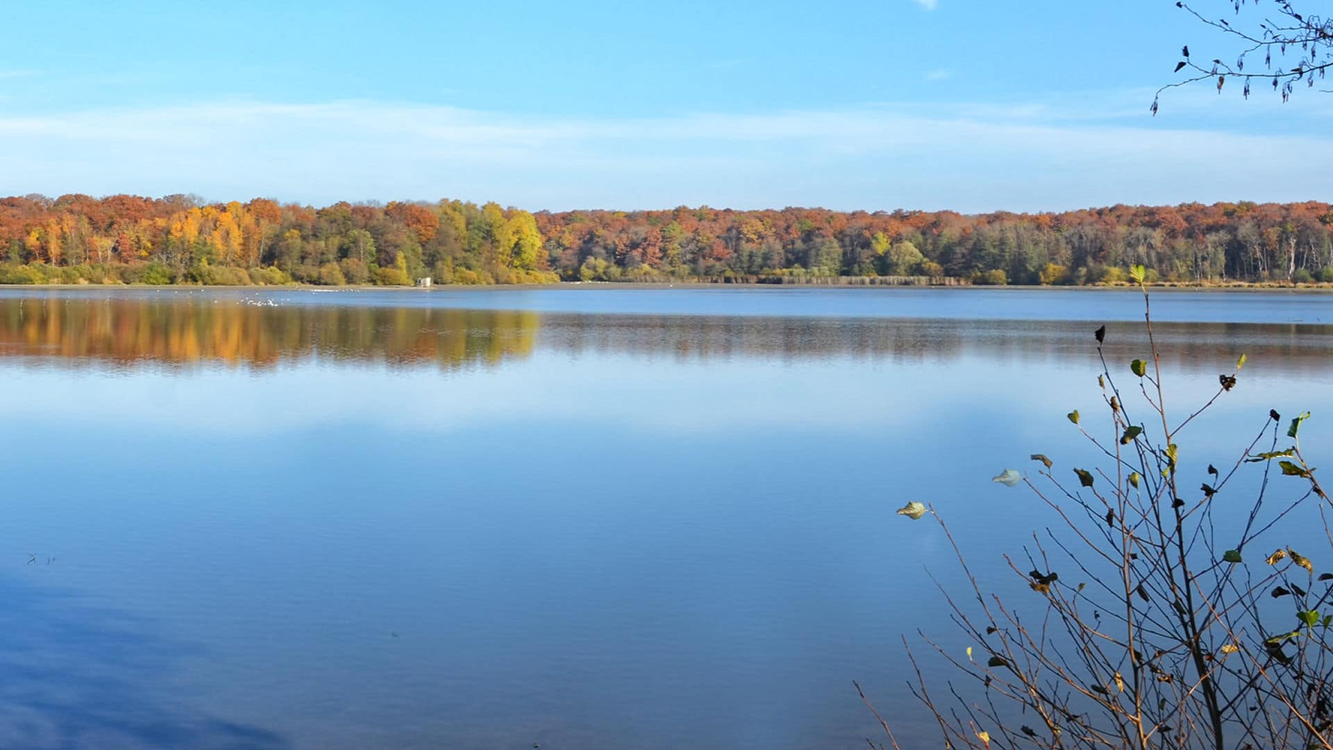 Wandeling in het Woud van Blaimont - Ardennen.nl