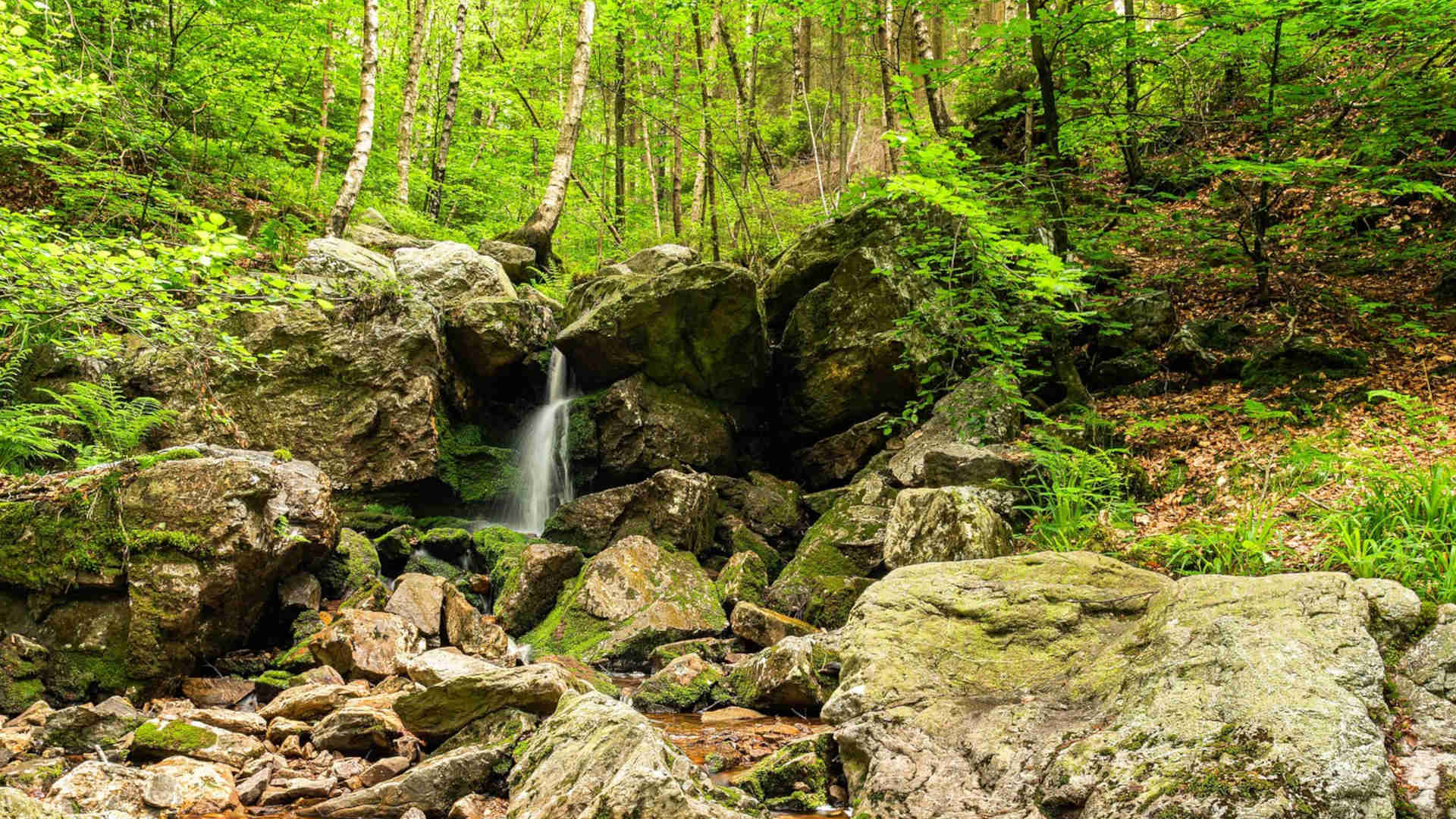 Cascade de Nutons - Ardennen.nl - vakanties & informatie