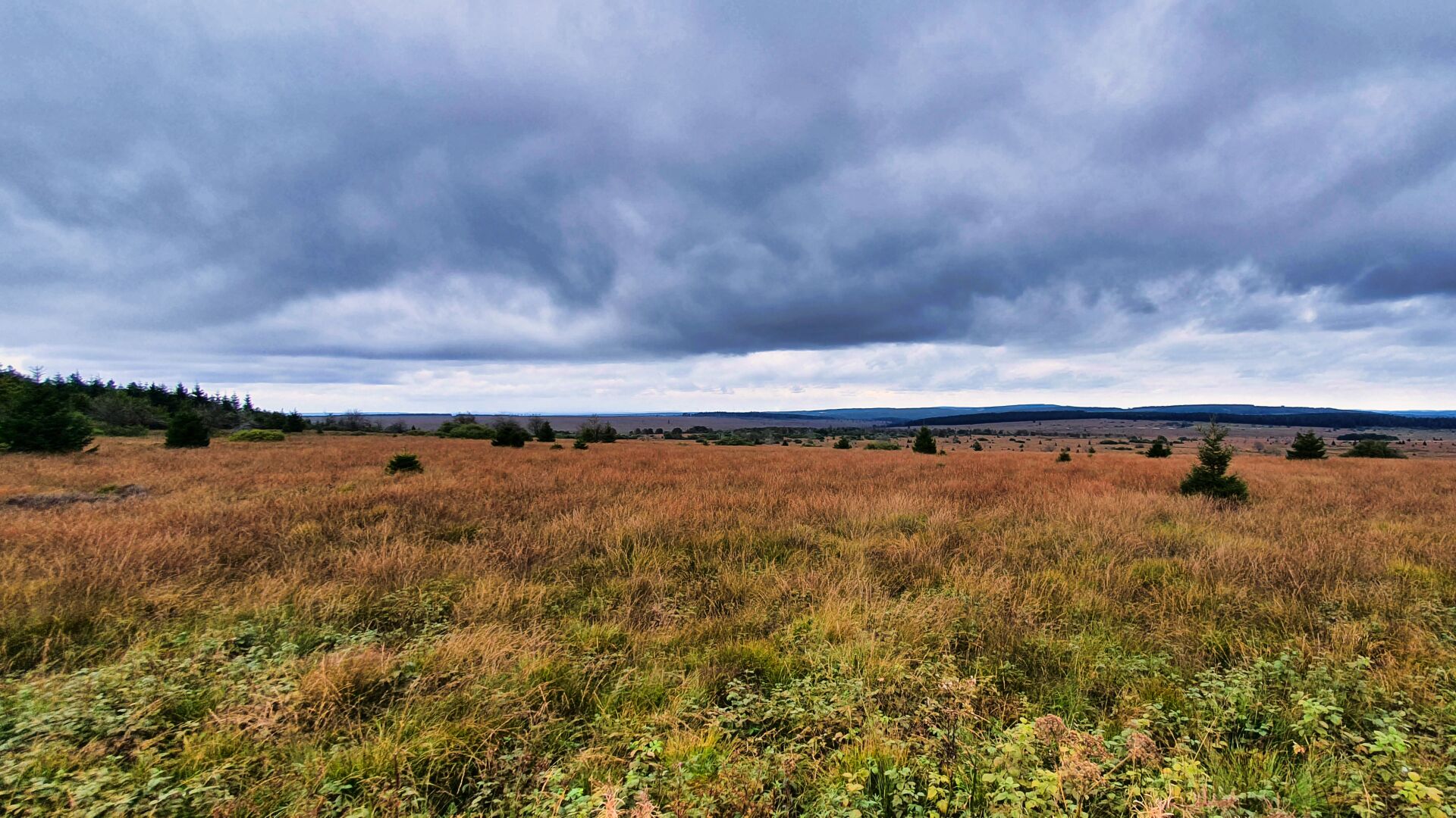 Wandeling rondom Signal de Botrange op de Hoge Venen - Ardennen.nl