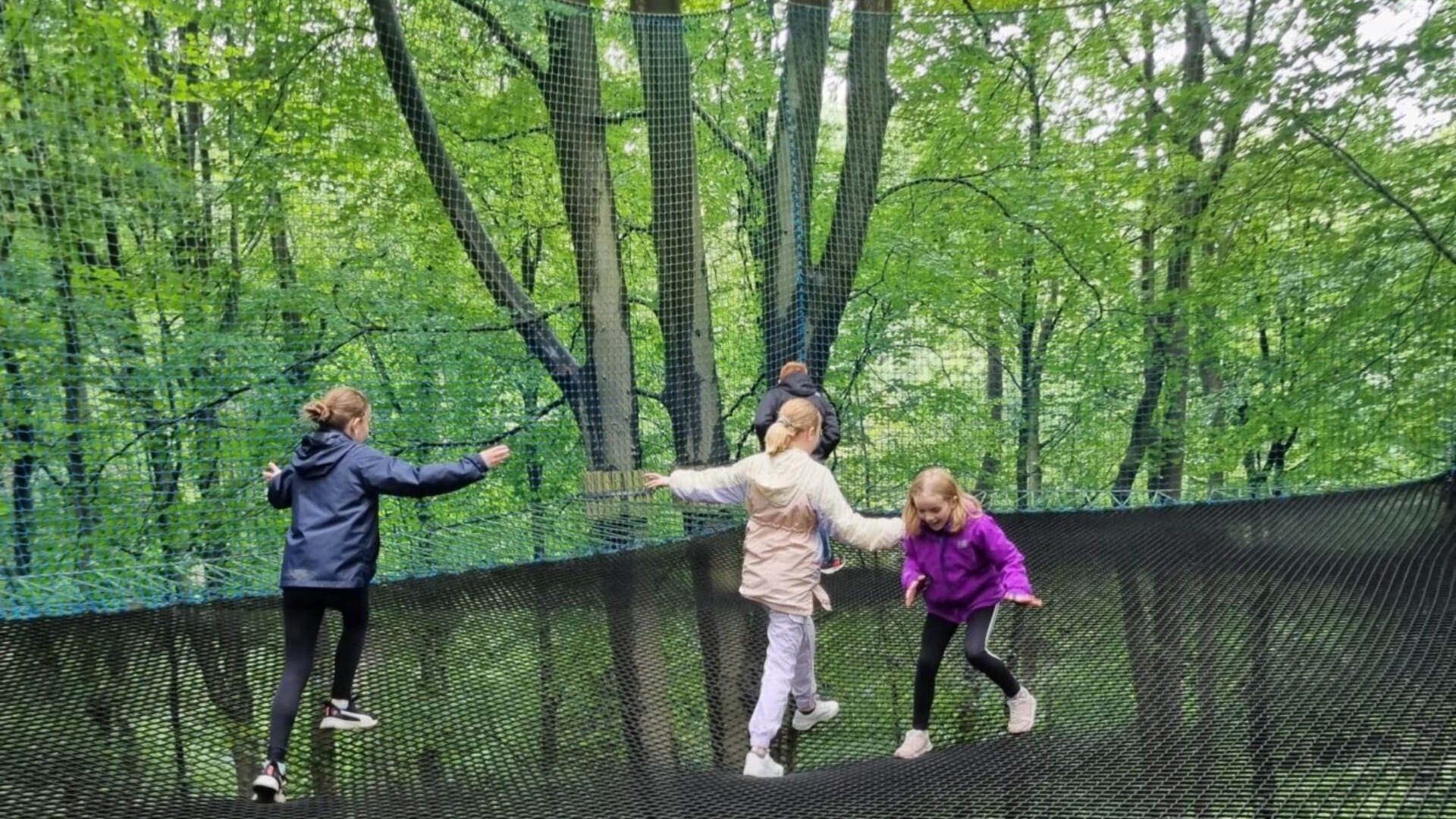 Spinnenweb kids parcours - 3 -6 jaar - La Roche - Ardennen.nl